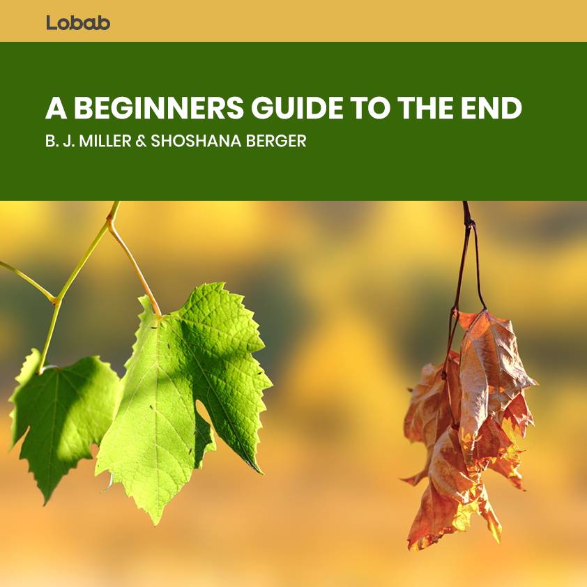 Read A Beginner’s Guide to the End Book Summary and Review by B.J ...