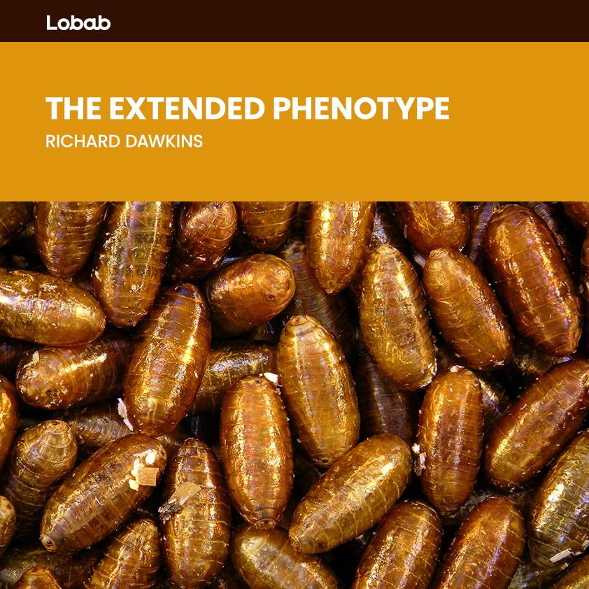 Read The Extended Phenotype Book Summary and Review by Richard Dawkins | Lobab