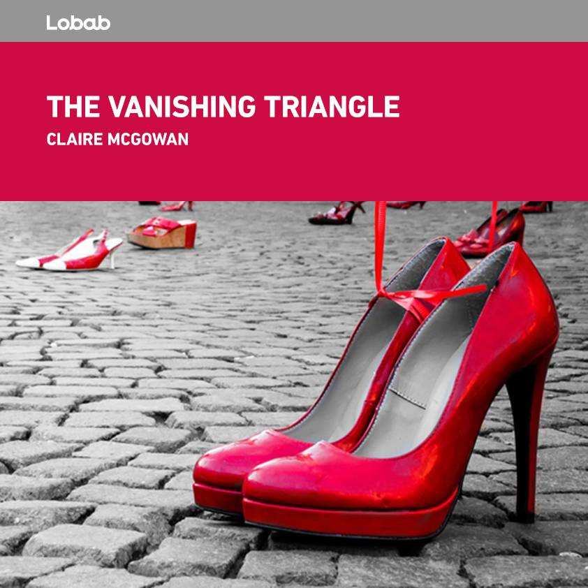 Read The Vanishing Triangle Book Summary and Review by Claire McGowan | Lobab