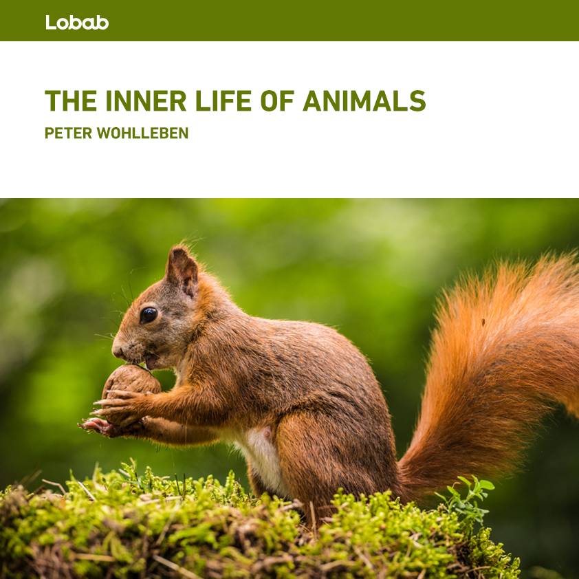 Read The Inner Life of Animals Book Summary and Review by Peter ...